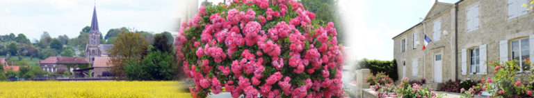 Actualités - Roches sur Marne